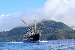 Cruise Vancouver Island aboard the MV Uchuck III